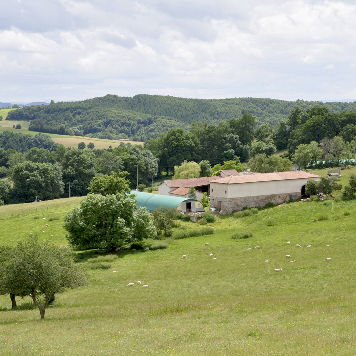 Ferme de la Tuilerie - au terroir 42